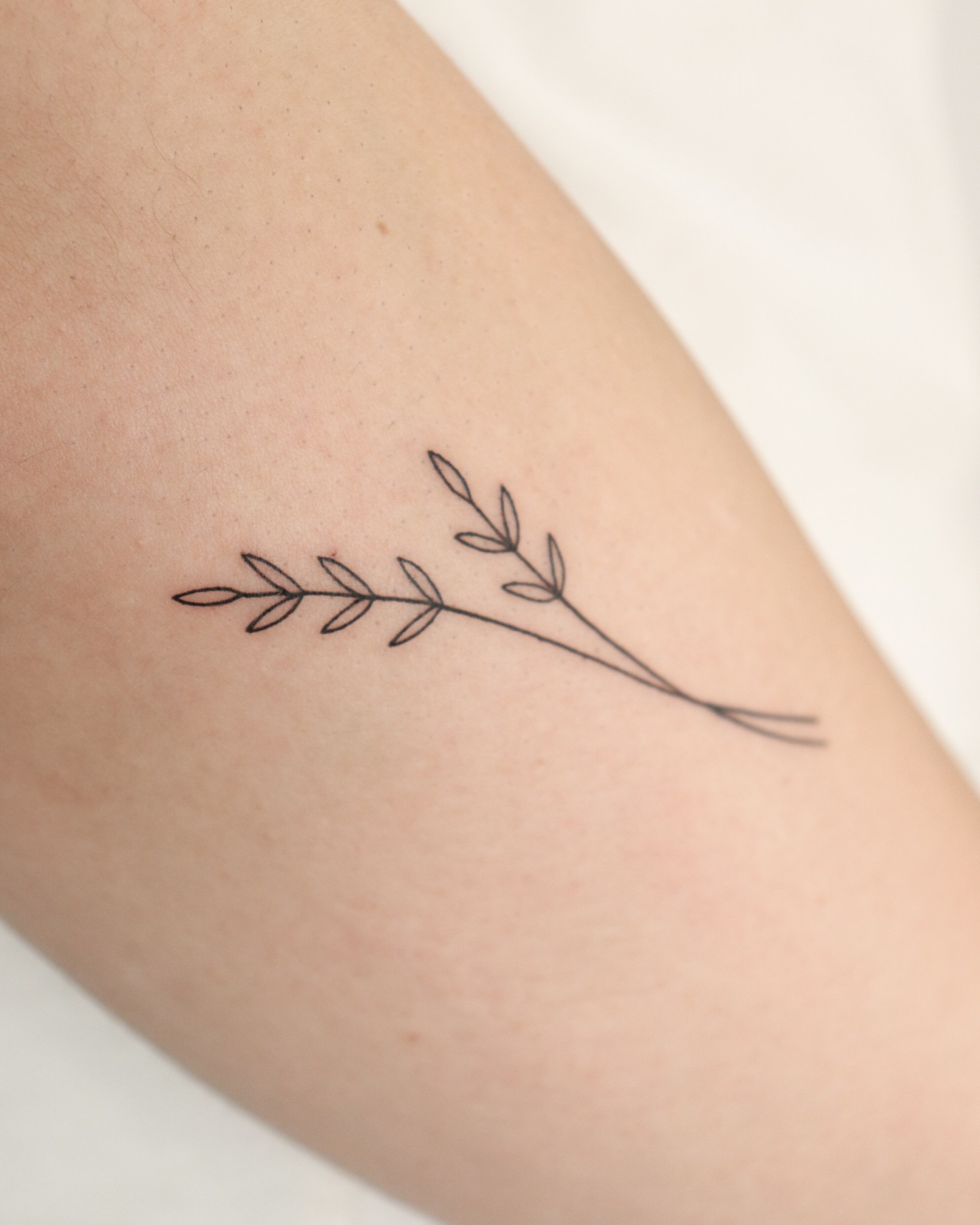 Fineline & Dotwork Minimal Tattoos